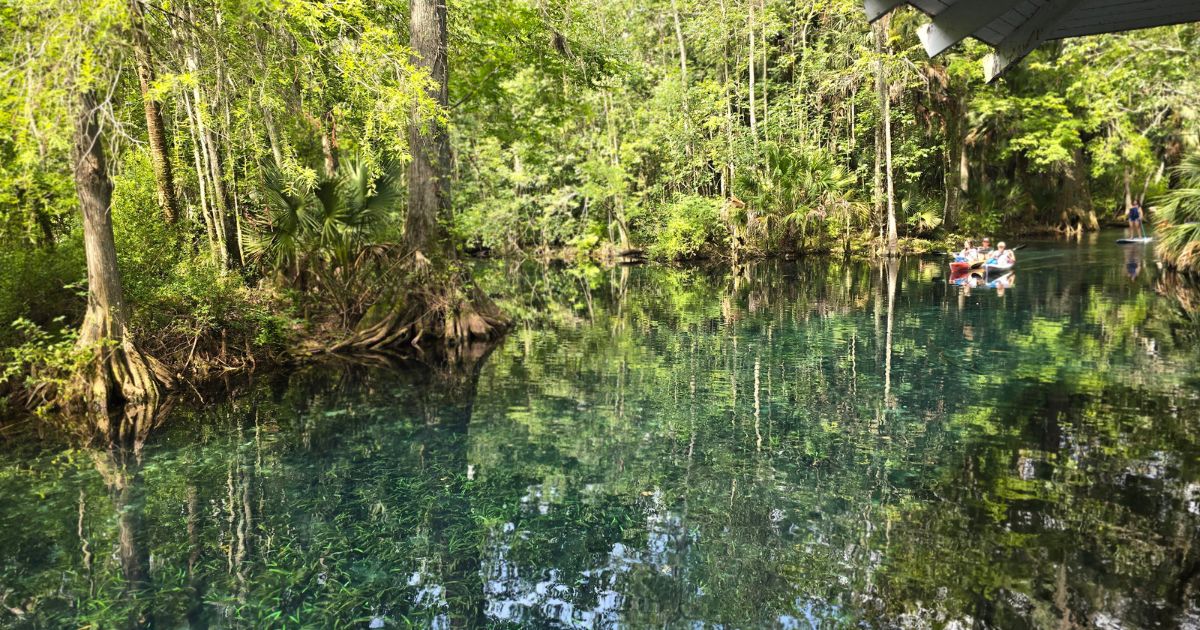 PADDLING THE RIVER- SILVER SPRINGS STATE PARK,FLORIDA - The Wandering ...