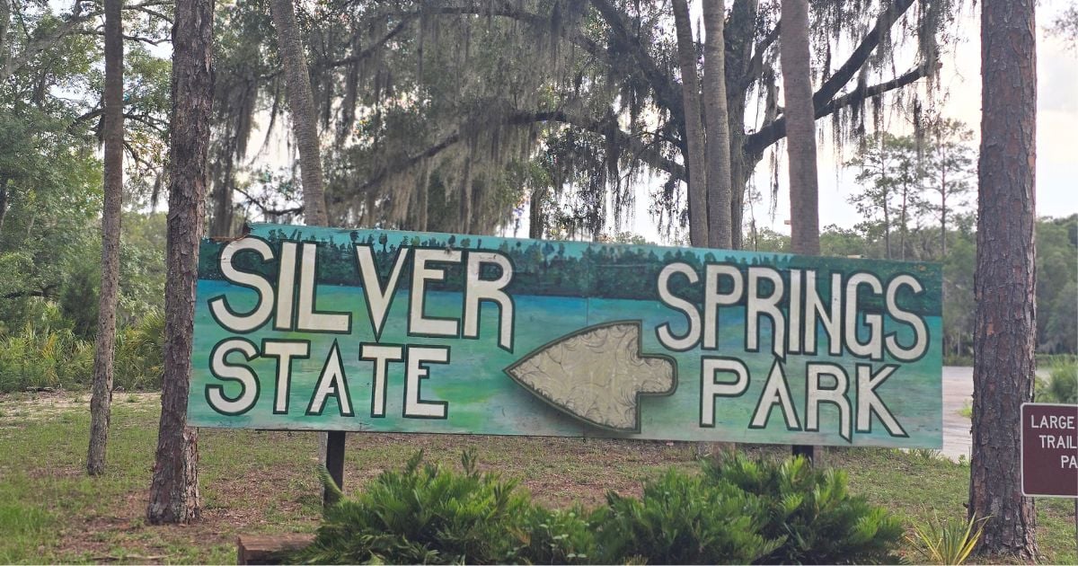 PADDLING THE RIVER- SILVER SPRINGS STATE PARK,FLORIDA - The Wandering ...