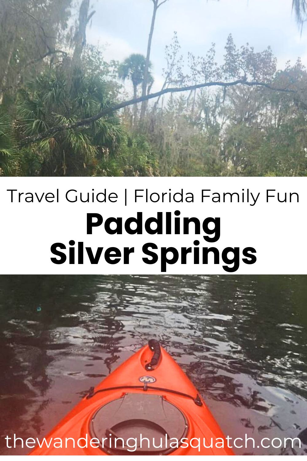 PADDLING THE RIVER- SILVER SPRINGS STATE PARK,FLORIDA - The Wandering ...