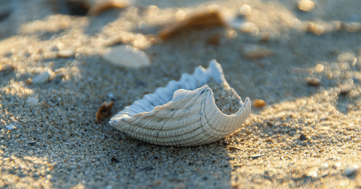 BEAUTIFUL FLORIDA CAMPING AT FORT DE SOTO CAMPGROUND - The Wandering ...