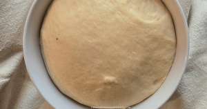 CRANBERRY WALNUT ARTISAN BREAD- ULTIMATE CAMP TOAST - The Wandering Hulasquatch