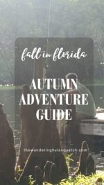 FALL OUTDOORS IN FLORIDA: GUIDE TO AUTUMN ADVENTURES - The Wandering ...