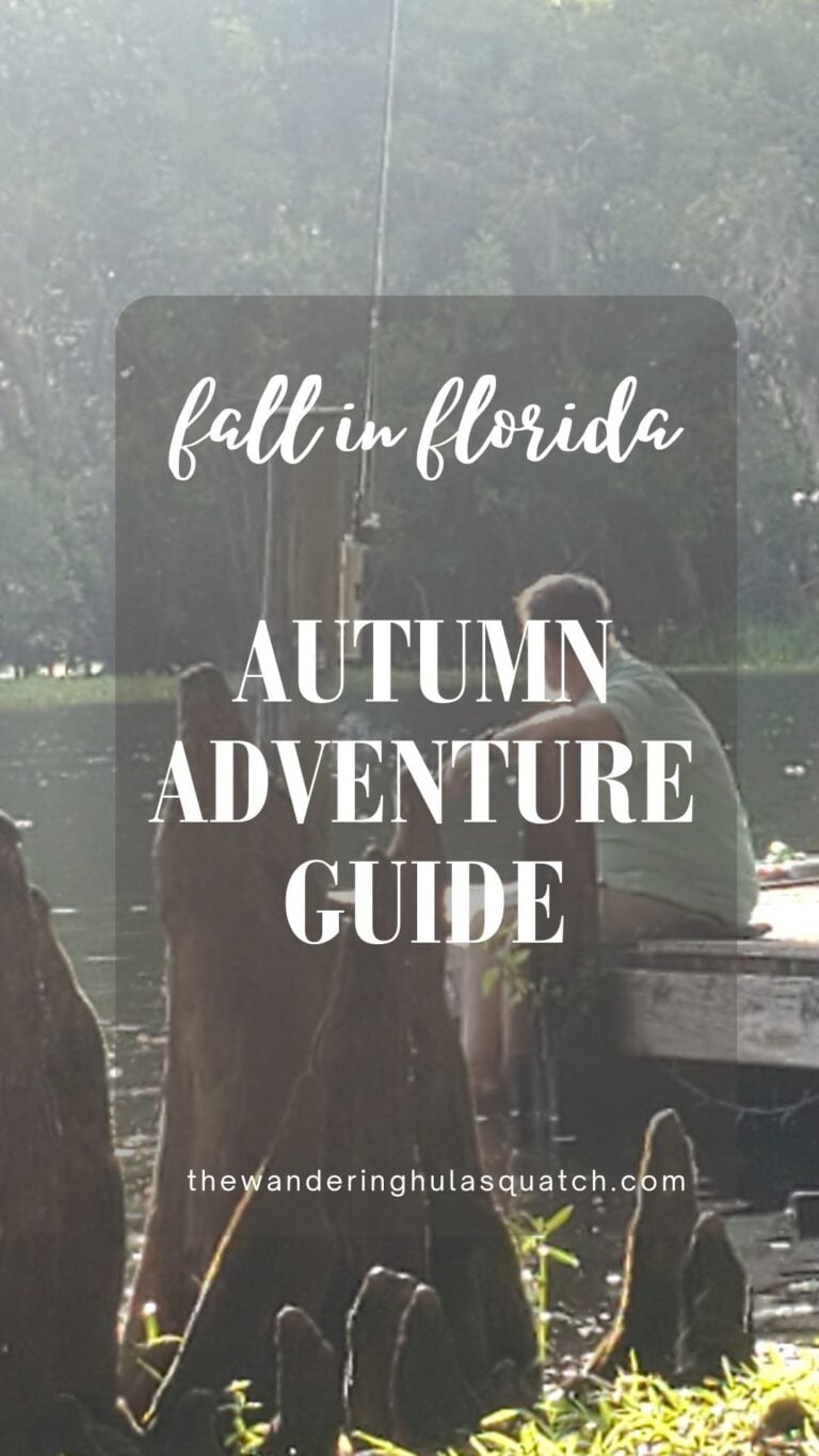 FALL OUTDOORS IN FLORIDA: GUIDE TO AUTUMN ADVENTURES - The Wandering ...