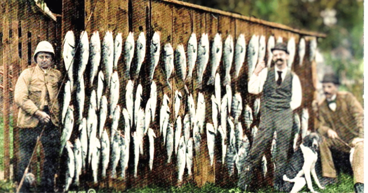 A SOUTHERN CHURCH FISH FRY: BEST SEAFOOD DIVES IN FLORIDA - The ...