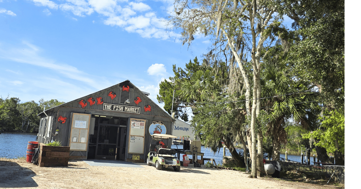 THE ULTIMATE FLORIDA DAY TRIP TO HOMOSASSA, FLORIDA - The Wandering ...