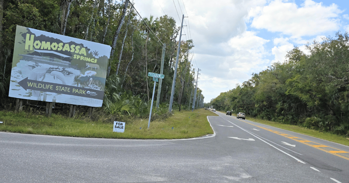 THE ULTIMATE FLORIDA DAY TRIP TO HOMOSASSA, FLORIDA - The Wandering ...