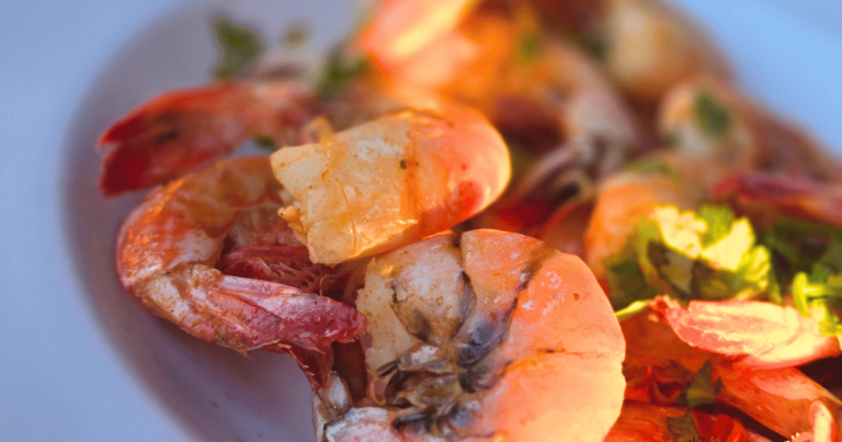 CAMELLIA STREET GRILLE: BEST SEAFOOD DIVES IN FLORIDA - The Wandering ...