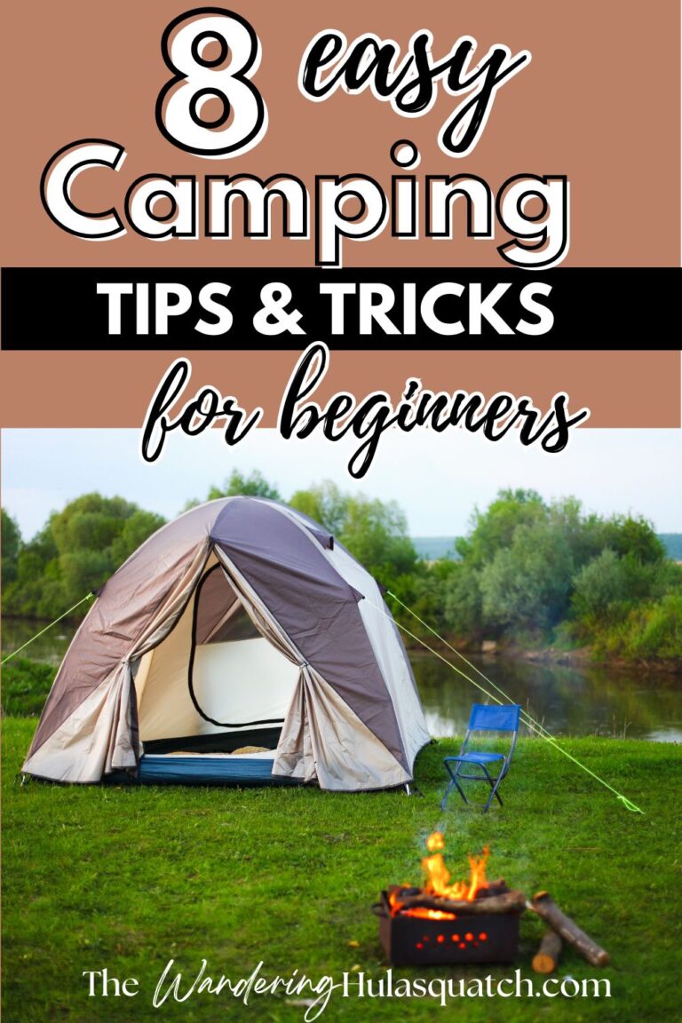 BEGINNER's GUIDE TO CAMPING: TIPS FOR OUTDOOR SUCCESS - The Wandering ...