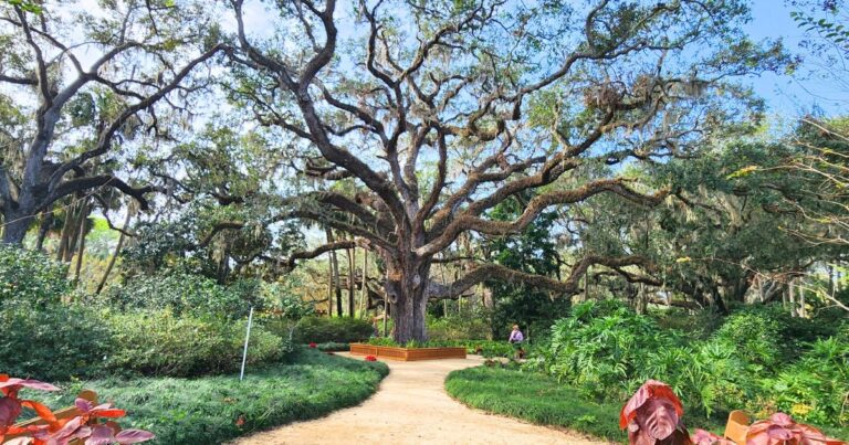 DISCOVER WASHINGTON OAKS: ST. AUGUSTINE'S HIDDEN GEM - The Wandering ...