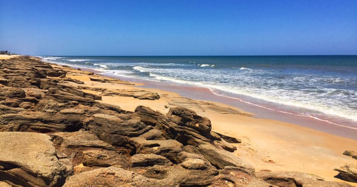 DISCOVER WASHINGTON OAKS: ST. AUGUSTINE'S HIDDEN GEM - The Wandering ...
