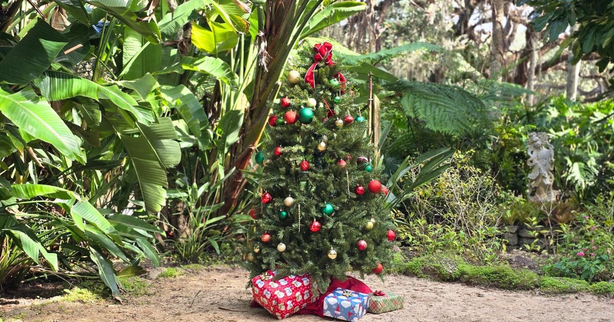 DISCOVER WASHINGTON OAKS: ST. AUGUSTINE'S HIDDEN GEM - The Wandering ...