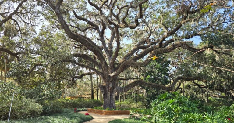 OFF-THE-BEATEN-PATH ST. AUGUSTINE: A HIDDEN GEM GUIDE - The Wandering ...