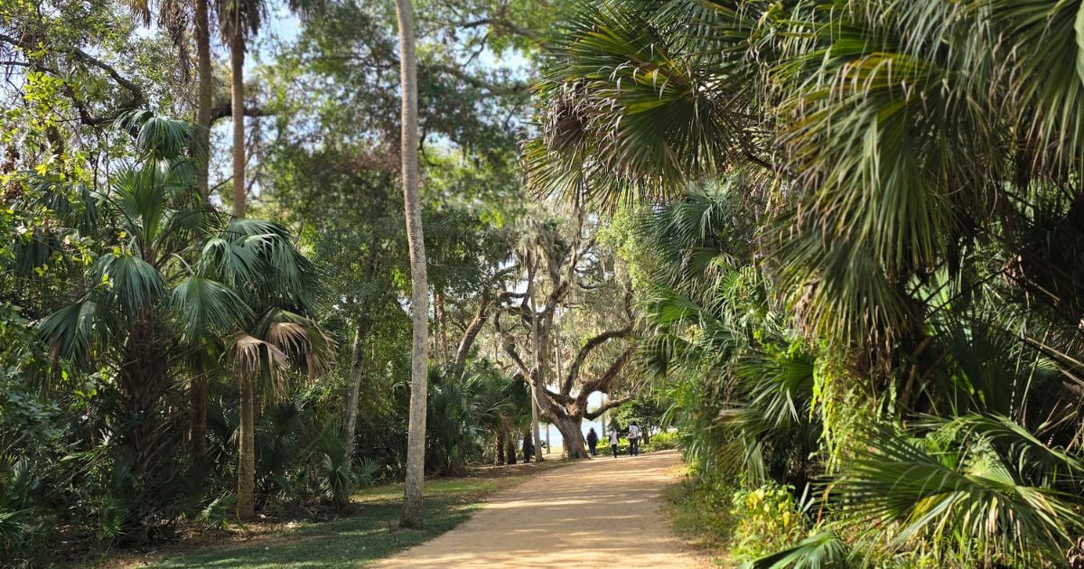 DISCOVER WASHINGTON OAKS: ST. AUGUSTINE'S HIDDEN GEM - The Wandering ...