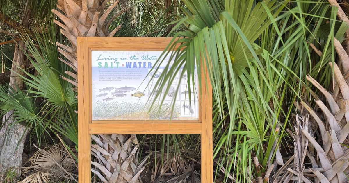 DISCOVER WASHINGTON OAKS: ST. AUGUSTINE'S HIDDEN GEM - The Wandering ...