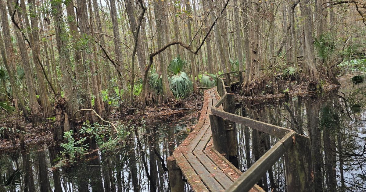 The Ultimate Guide to Florida State Parks- Adventure Awaits - The ...