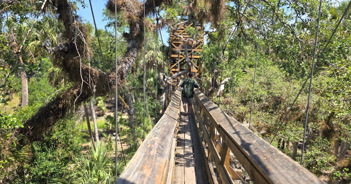 The Ultimate Guide to Florida State Parks- Adventure Awaits - The ...