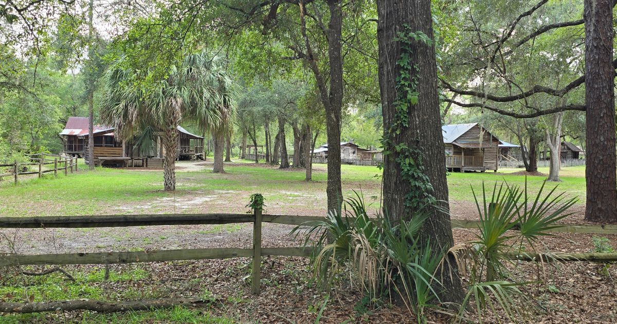 Wander Silver Springs State Park in Ocala, Florida - The Wandering ...