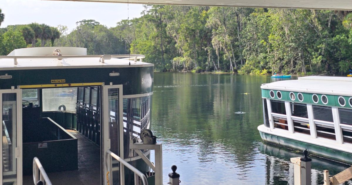 Wander Silver Springs State Park in Ocala, Florida - The Wandering ...