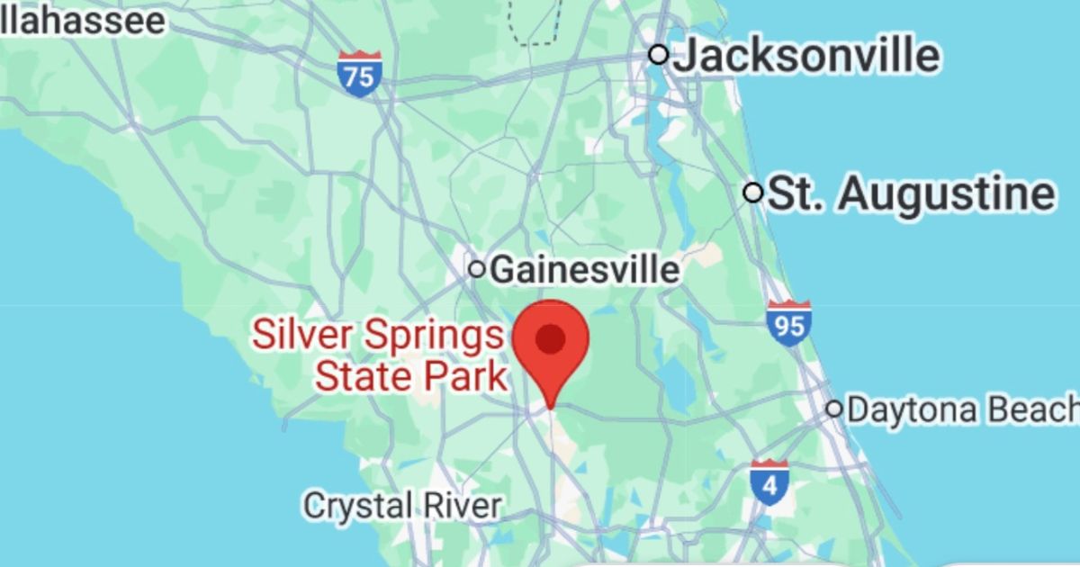 Wander Silver Springs State Park in Ocala, Florida - The Wandering ...