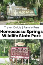 Wander Wild Florida at Homosassa Springs State Park - The Wandering ...
